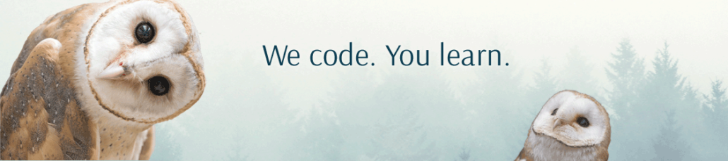 Seiden Group: PHP, Python, Node & RPG on IBM i