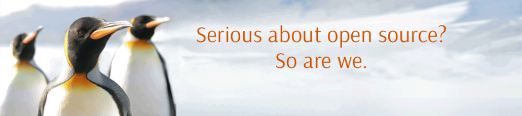 Seiden Group: PHP, Python, Node & RPG on IBM i